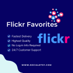 Buy Flickr Favorites - SocialEtsy
